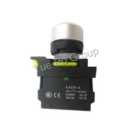 BUTTON SWITCH W/LOCK（1 NO）